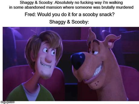 25 Best Memes About Shaggy Scooby Doo Meme Shaggy Scooby Doo Memes