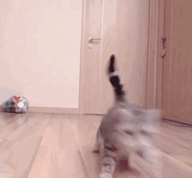 Qq Fabiaoqing