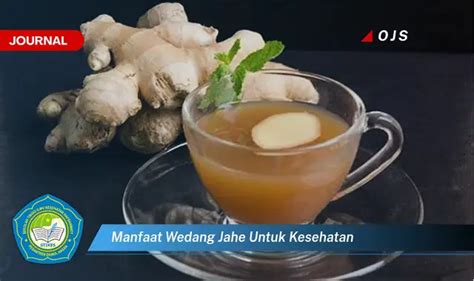 Intip 6 Manfaat Wedang Jahe Yang Jarang Diketahui E Journal