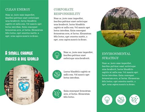 Environmental Non Profit Trifold Brochure Template Visme