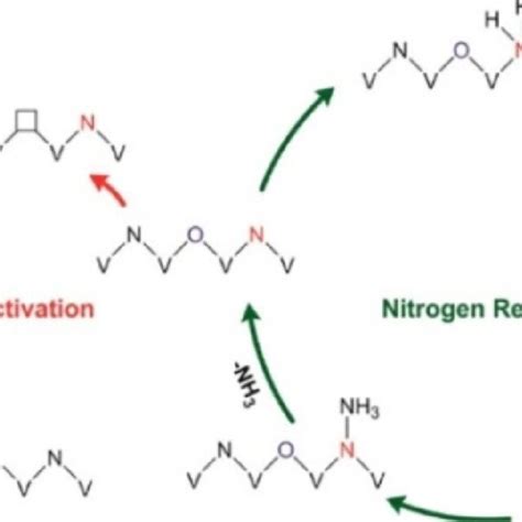 Proposed Reaction Pathway For Nitrogen Reduction On The Surface Of
