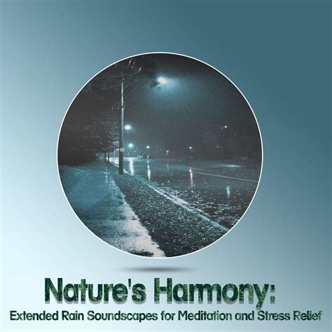 Natures Harmony Symphony Extended Rain Soundscapes For Meditation