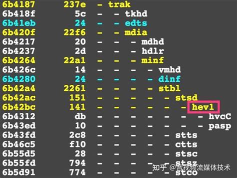 Ffmpeg Hevc Codectag兼容问题 知乎