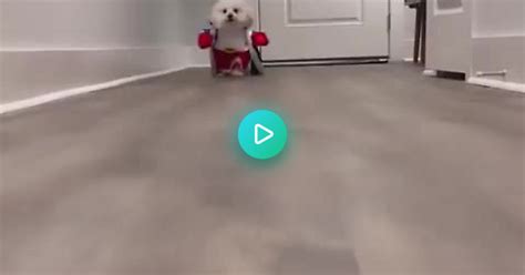 Rocky Album On Imgur