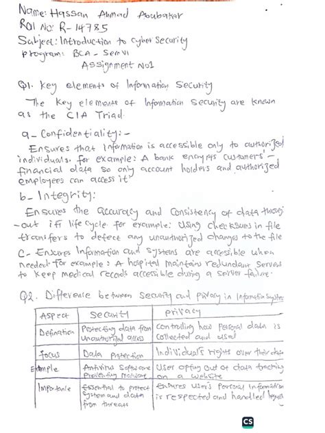 Cybersecurity Assignment | PDF