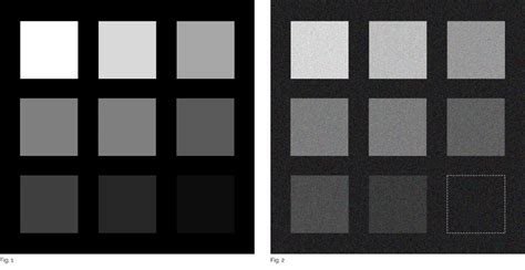 Understanding Netd Ratings A Brief Guide Thomas Jacks