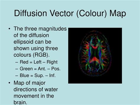 Ppt Dti Basics Water Diffusion In Mri Imaging Powerpoint