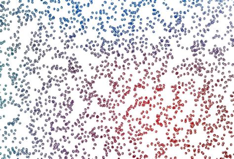 Light Blue Red Vector Texture With Disks 12787919 Vector Art At Vecteezy