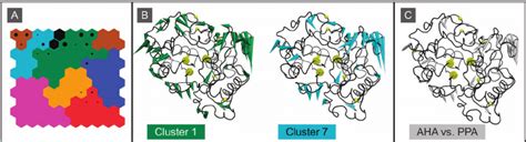 Som Analysis Of The Dynamics Of Ppa A Assignment Of The