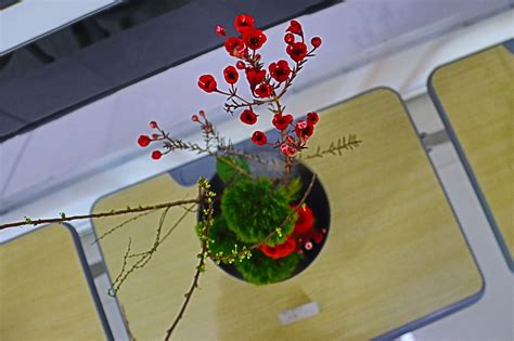 东营科技职业学院航空与旅游学院举办首届花团锦簇迎元旦插花艺术作品展 东营科技职业学院 航空与旅游学院