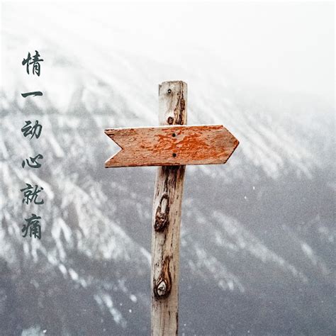 情一动心就痛 Youtube Music