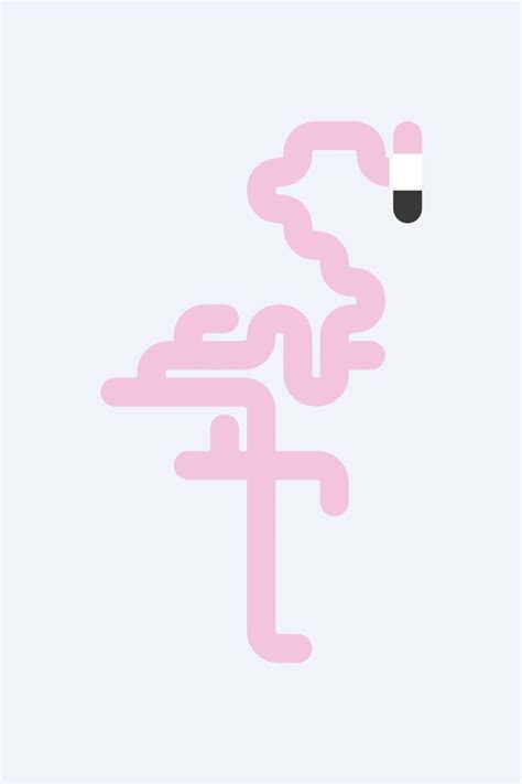 Maze Flamingo Maze Flamingo Labyrinth