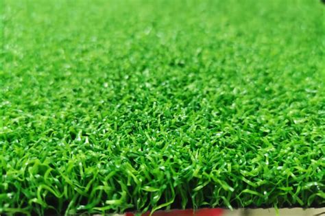 Artificial Grass Kangaroo Flat Artificial Turf Installation Price Auzzie Turf