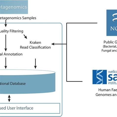 Overview Of Hpmc Database Structure And Analysis Process High Quality Download Scientific