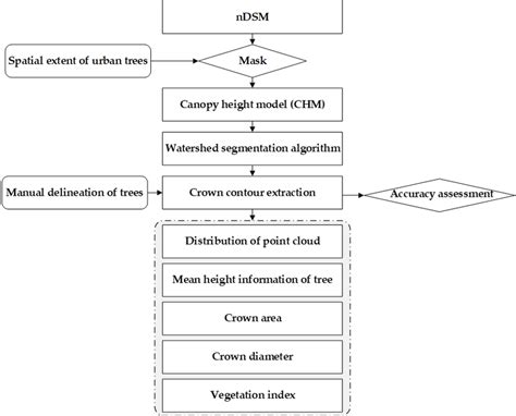 Flowchart Of Individual Tree Segmentation Based On Canopy Height Model