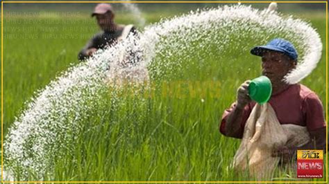 ලබන මහ කන්නයේ සිට යුරියා පොහොර මිටියක් රුපියල් 4000කට Hiru News