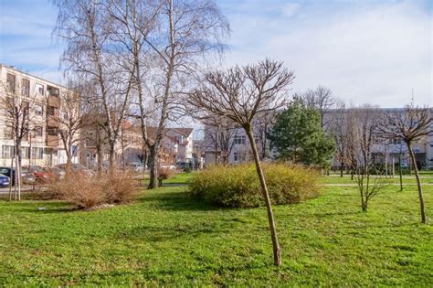 Poslednji Jesenji Dan U Ovoj Godini Loznica Info
