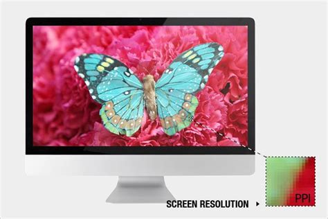 Resolution Understanding Resolution In Digital Photography