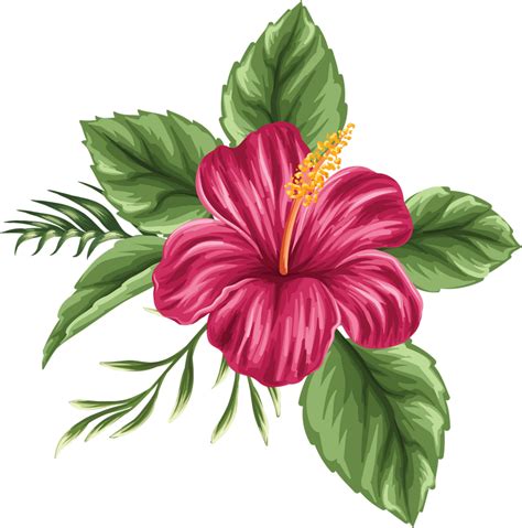 Hawaiian Flowers Png Clip Art Library