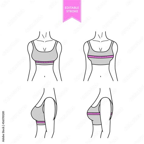 Measurement Of Women Bra Lingerie Fitting With Tape Measure Front And Side View Icons For