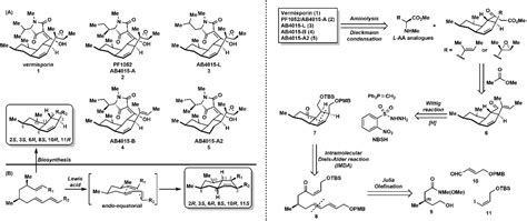 雷晓光课题组完成vermisporin等天然产物的首次全合成科研进展北京大学化学与分子工程学院