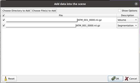 Binary Segmentation Mask To Centerline Polydata Using A Python Script