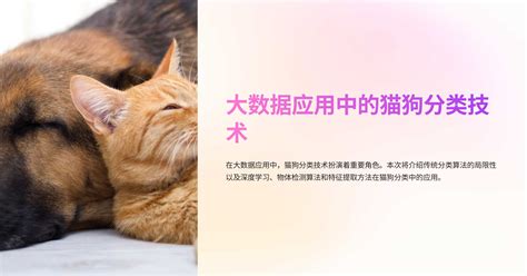 大数据应用中的猫狗分类技术