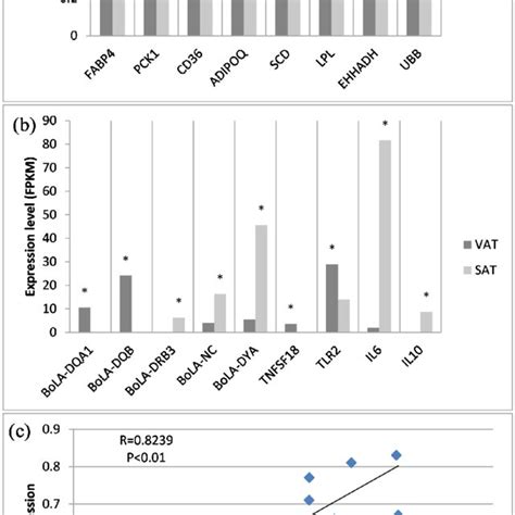 Gene Expression Patterns In Visceral And Subcutaneous Adipose Tissues Download Scientific