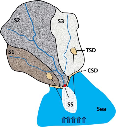 Schematic Of Sediment Transfer Pathways From Terrestrial Sources To