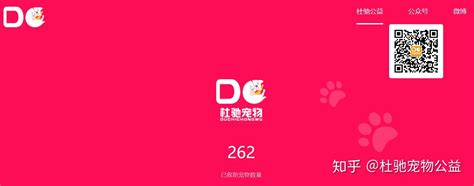 喂流浪猫，我做错了吗？ 知乎