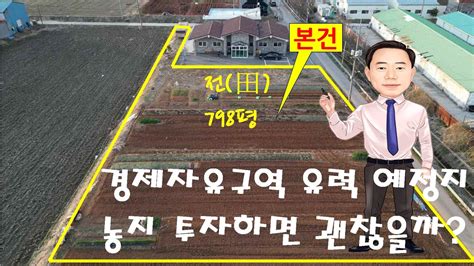 고양시 경제자유구역 유력 예정지 산업용지 농지 투자 괜찮습니다 Youtube
