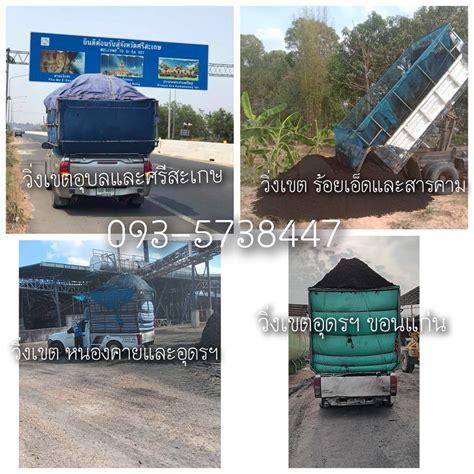 หอยเชอรี่สีทอง หอยเชอรี่สีทอง ฟาร์มพี่น้องสอง ช อุดรธานี