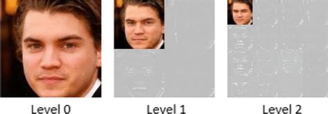 a sample face image with its wavelet coefficients at different