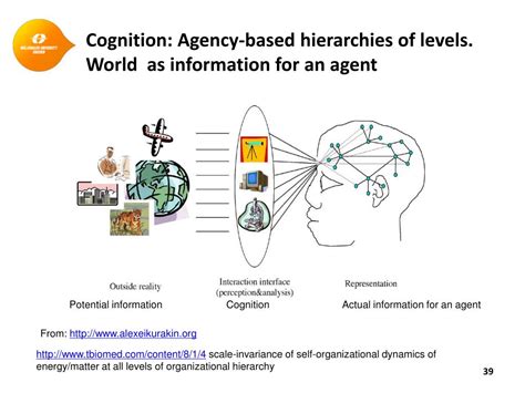 Ppt Modeling Life As Cognitive Info Computation Powerpoint Presentation Id 6404325