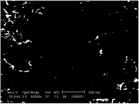 Catalyst Used For Alkene Polymerization Reaction Preparation Method