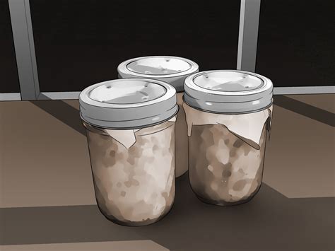 How To Grow Mushrooms With Pictures Wikihow