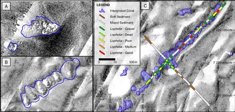 Extracts From The Sidescan Sonar Mosaic Showing Acoustic Signatures