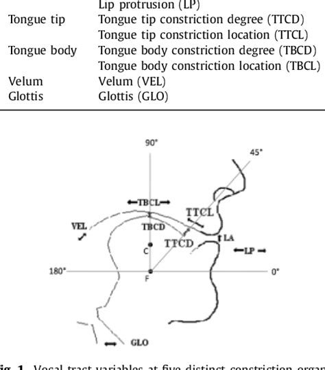 Figure 1 From Hybrid Convolutional Neural Networks For Articulatory And Acoustic Information