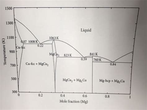 1 Phase Diagrams 20 Points Consider The Mg Cu