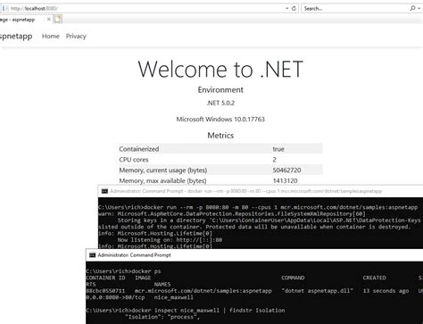 Container Cpu Limits Not Supported By Net Runtime In Process Isolation
