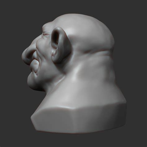 Dwarf Head Sculpt 3d Model Cgtrader