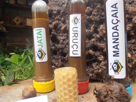 Meliponário da Paz Atrativos pra abelhas nativas Meliponário da Paz