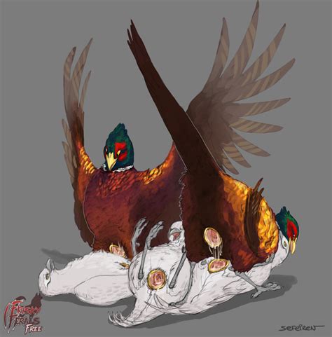 Rule 34 2013 Ass Up Avian Beak Bird Cloaca Cum Feathers Female Feral