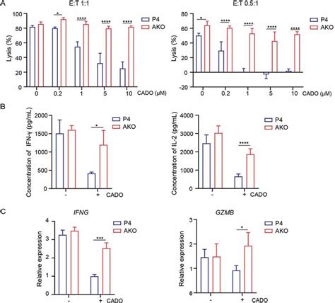 A2AR Knock Out P4 CAR T Enhanced Tumor Killing In PDX Models In Vivo