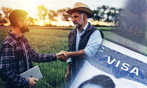 Trabajo en Estados Unidos Cómo identificar que una oferta es falsa y