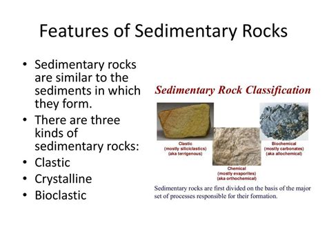 Bioclastic Sedimentary Rocks