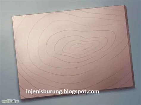 Cara Membuat Kandang Burung Merpati Cantik