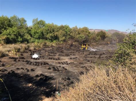 Brush Fire Prompts Evacuations Road Closures In Santee Santee Ca Patch
