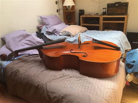 Em Pollmann 5 String Bass 1966