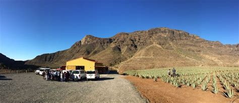 Finca Canarias Aloe Vera Fataga Aktuelle 2021 Lohnt Es Sich Mit